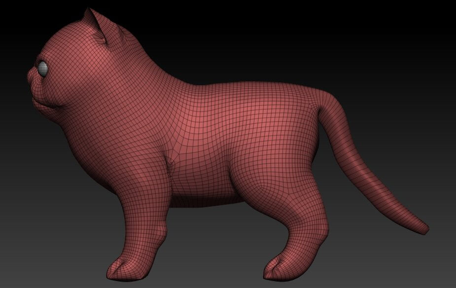 Cat - 3D Model by elitemodelry