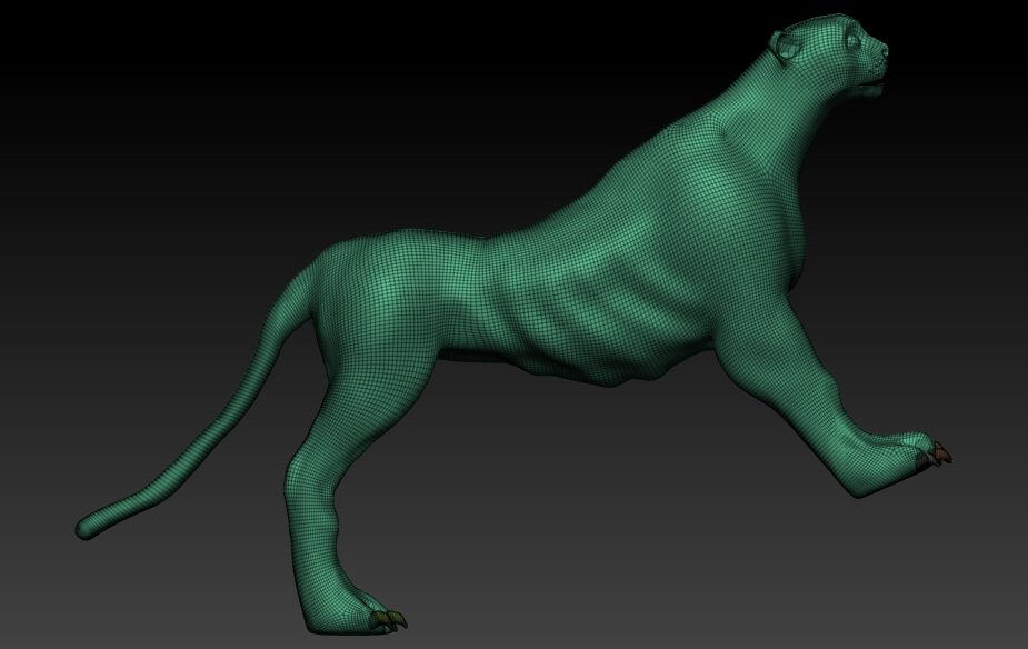 Cheetah - 3D Model by elitemodelry