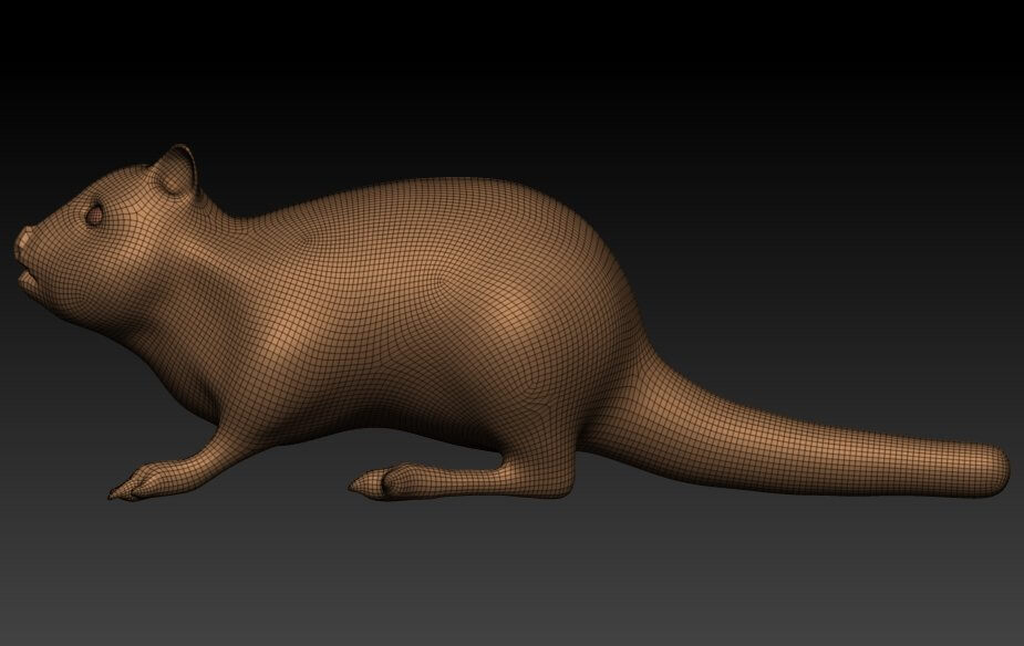 Chipmunk - 3D Model by elitemodelry