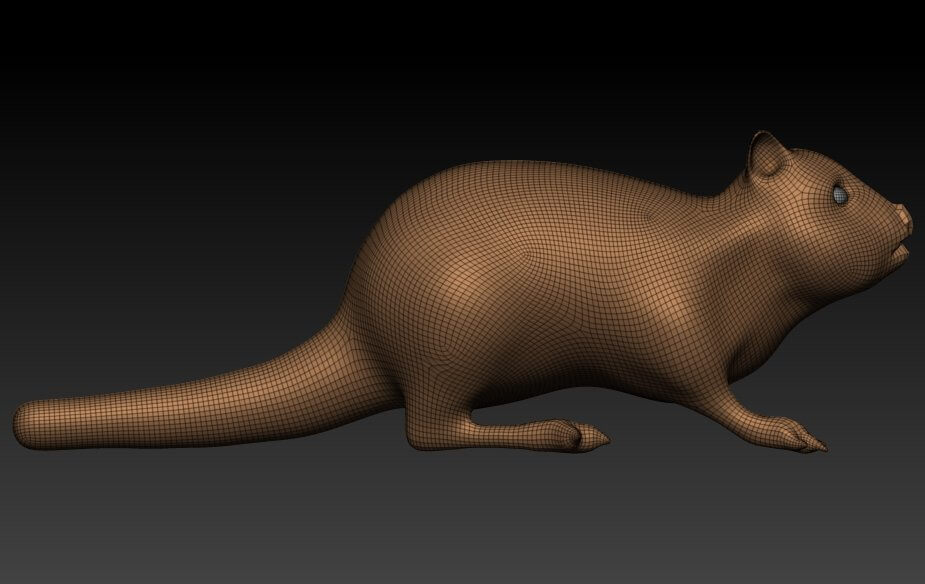 Chipmunk - 3D Model by elitemodelry