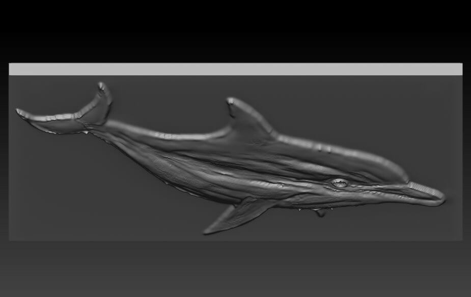 Dolphin Relief - 3D Model by elitemodelry