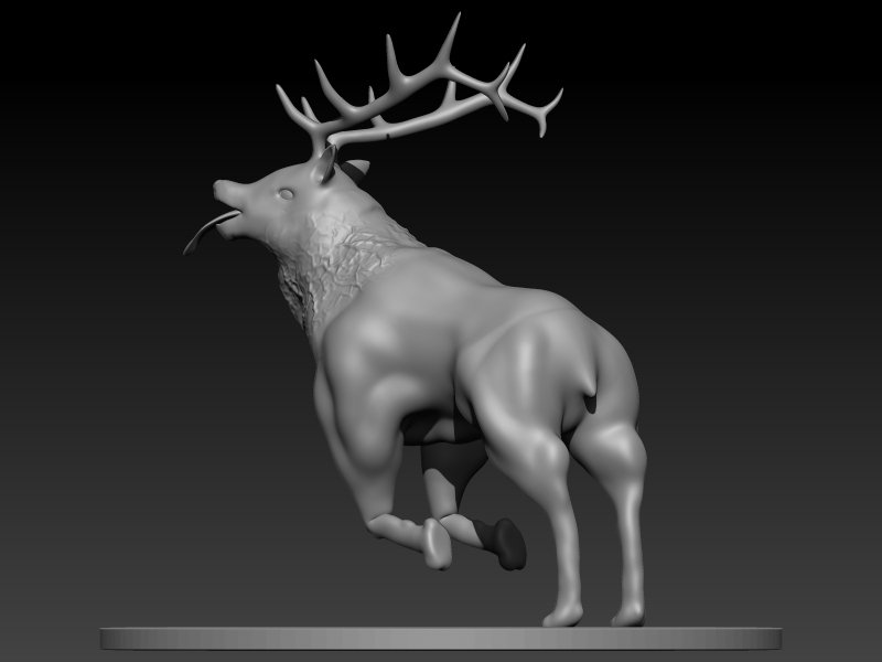 Elk - 3D Model by elitemodelry
