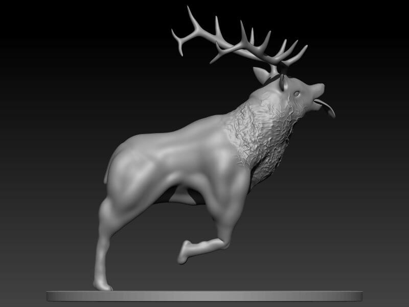 Elk - 3D Model by elitemodelry