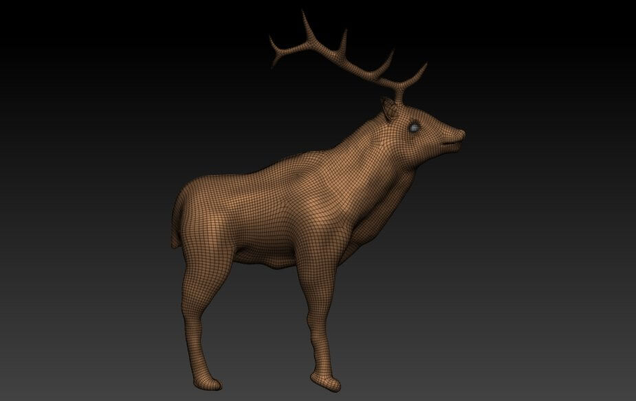 Elk - 3D Model by elitemodelry