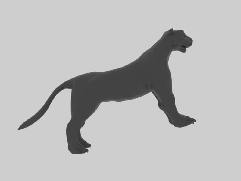 Florida Panther - 3D Model by elitemodelry