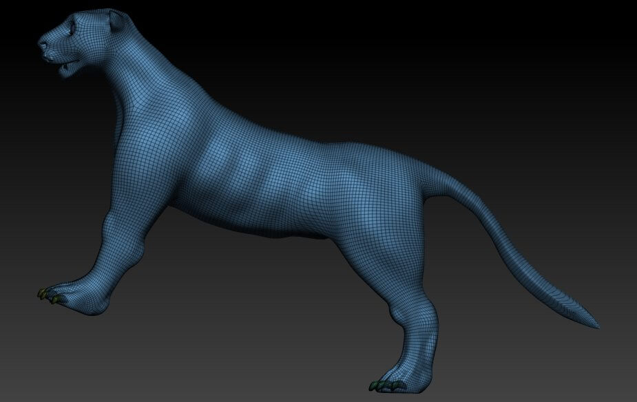 Florida Panther - 3D Model by elitemodelry