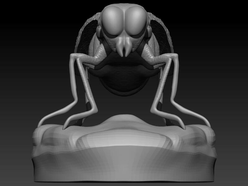 Fly - 3D Model by elitemodelry