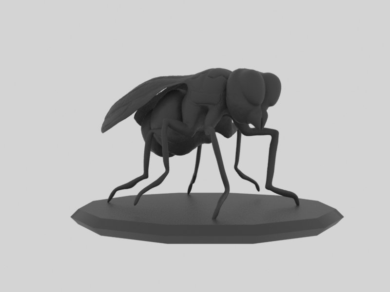 Fly - 3D Model by elitemodelry