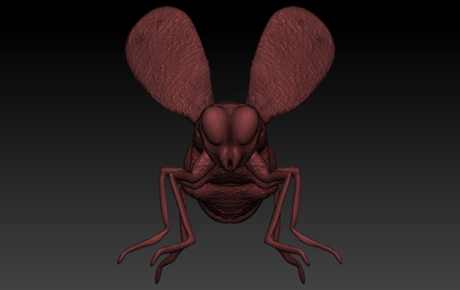 Fly - 3D Model by elitemodelry