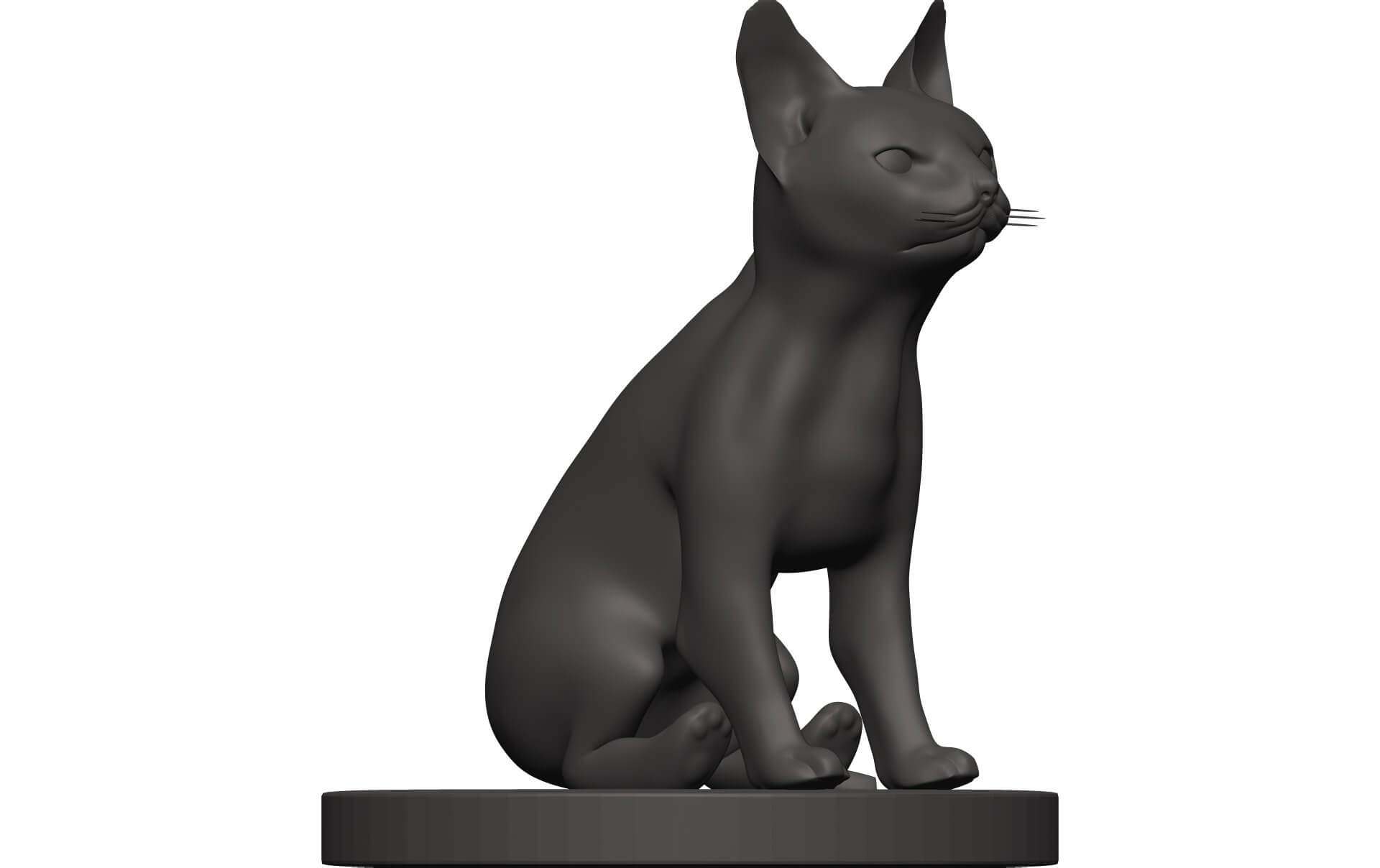 Cat 3D Render, Digital Art by elitemodelry