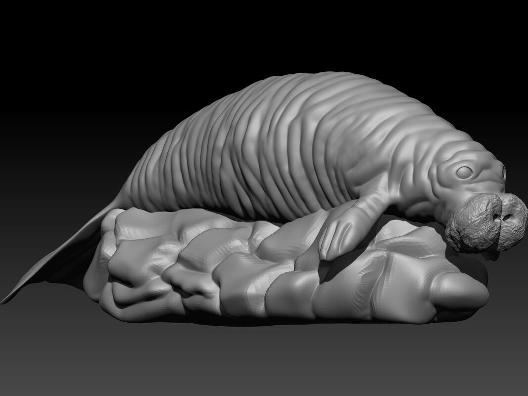 Manatee - 3D Model by elitemodelry
