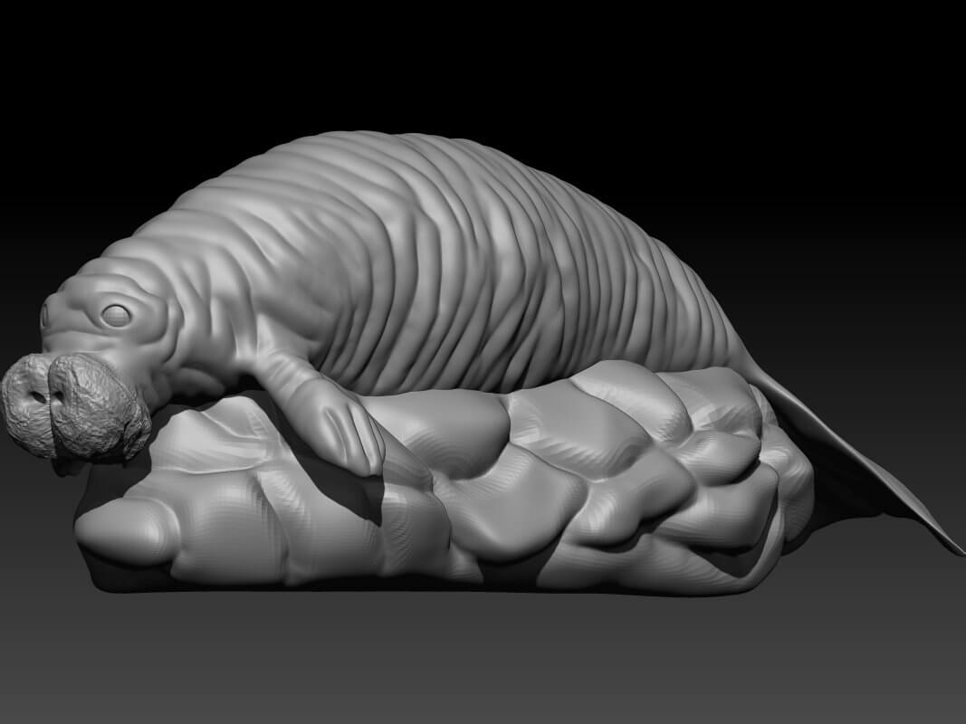Manatee - 3D Model by elitemodelry