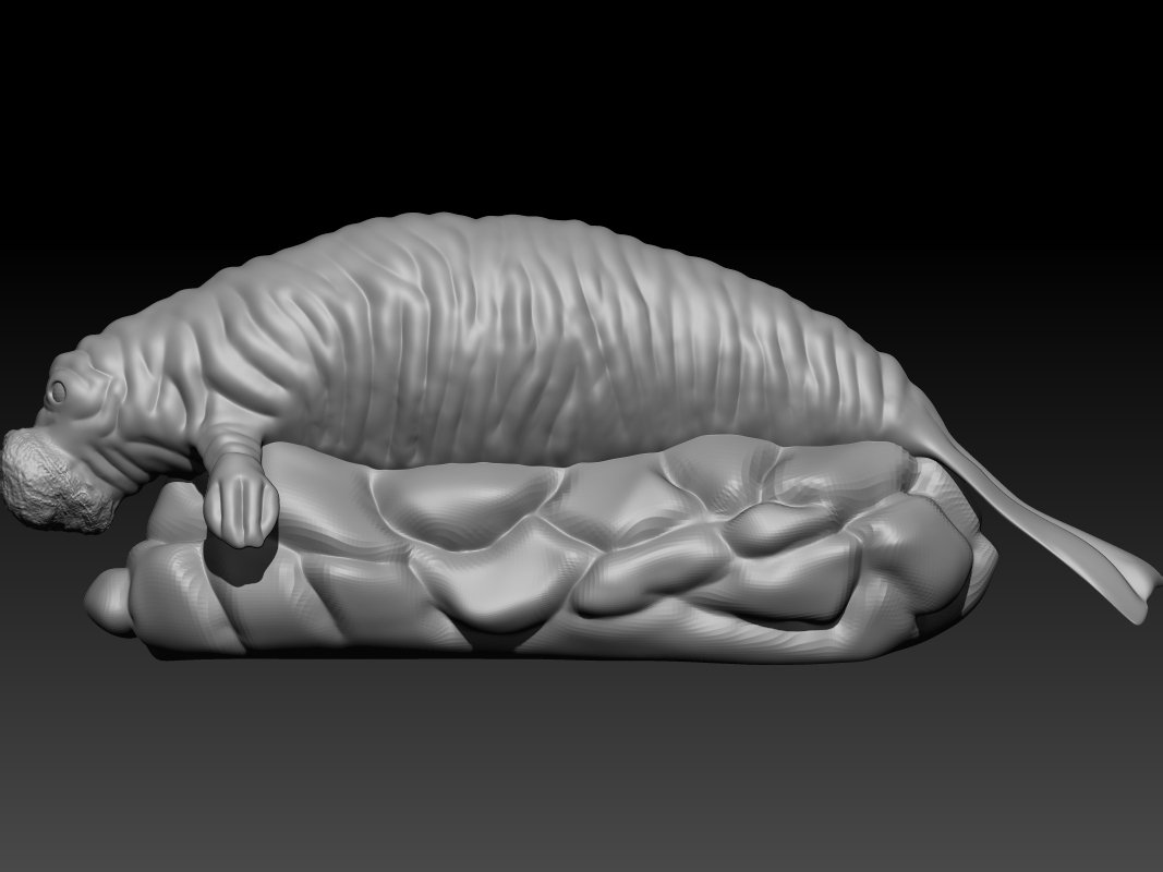 Manatee - 3D Model by elitemodelry