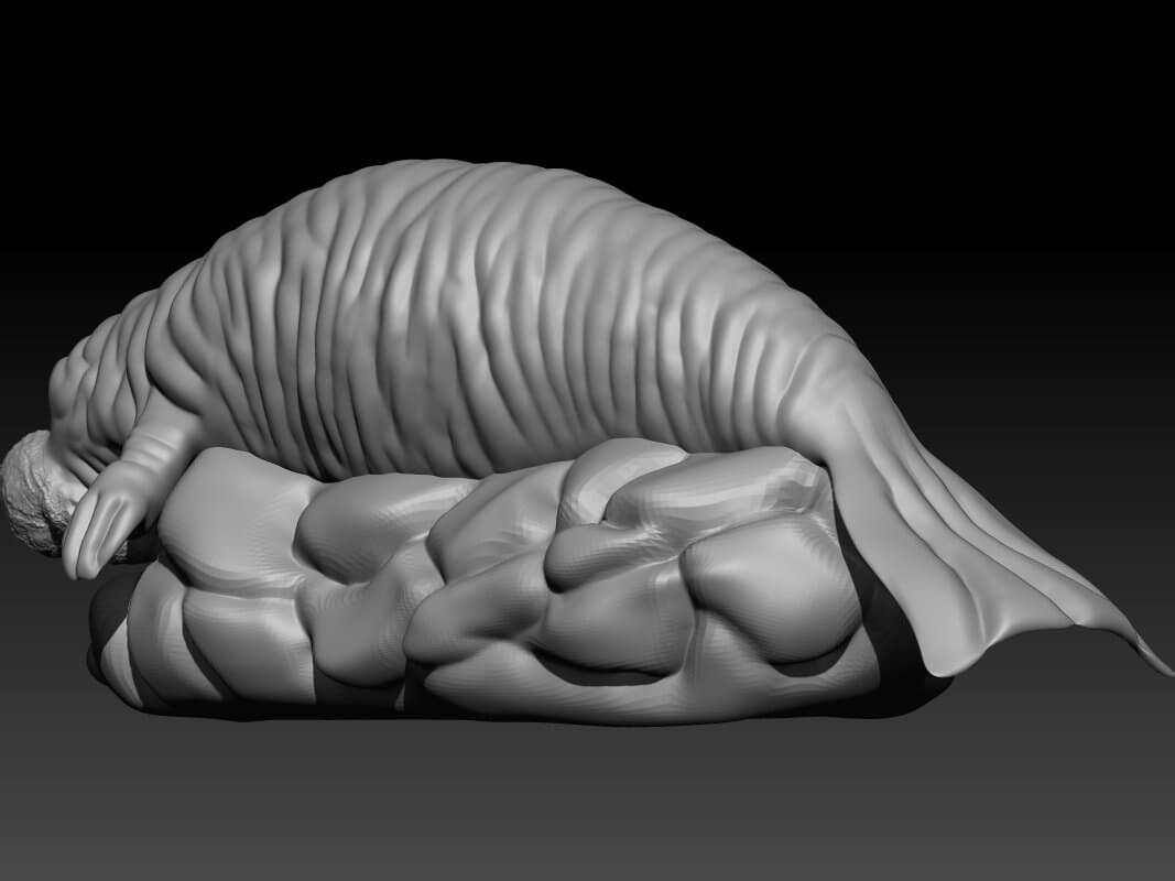 Manatee - 3D Model by elitemodelry