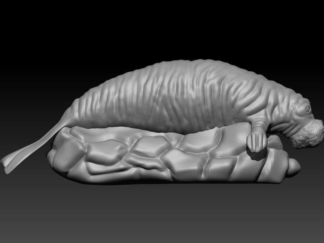 Manatee - 3D Model by elitemodelry