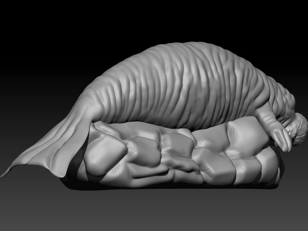 Manatee - 3D Model by elitemodelry