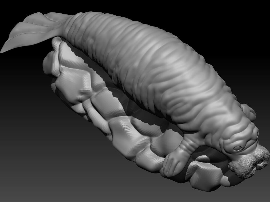 Manatee - 3D Model by elitemodelry