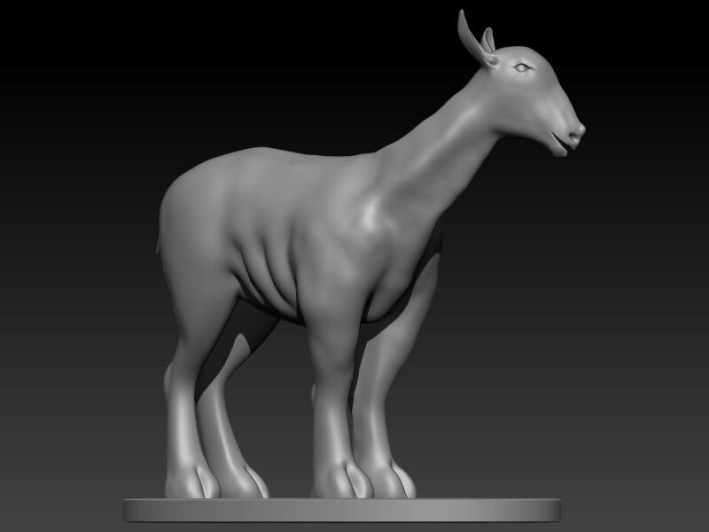 Markhor - 3D Model by elitemodelry