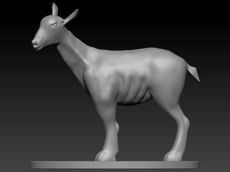 Markhor - 3D Model by elitemodelry