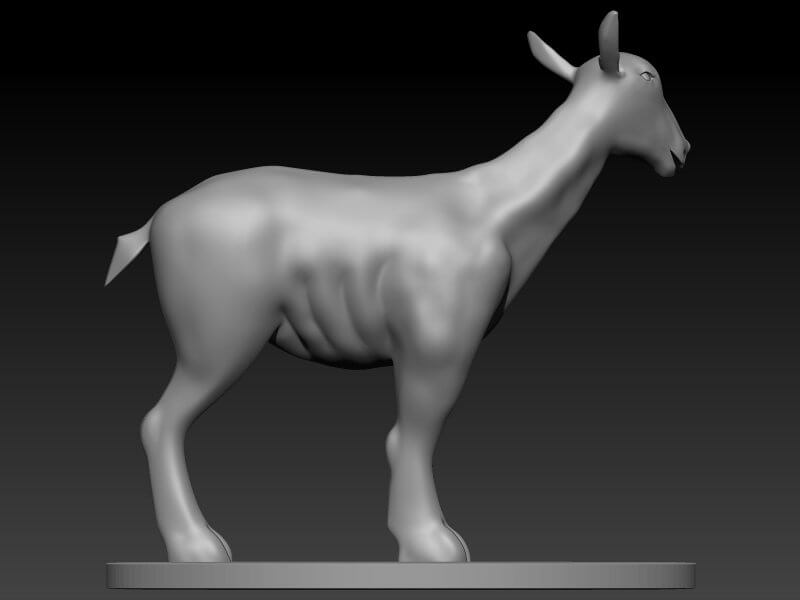 Markhor - 3D Model by elitemodelry