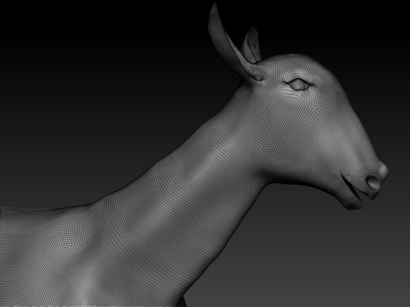 Markhor - 3D Model by elitemodelry