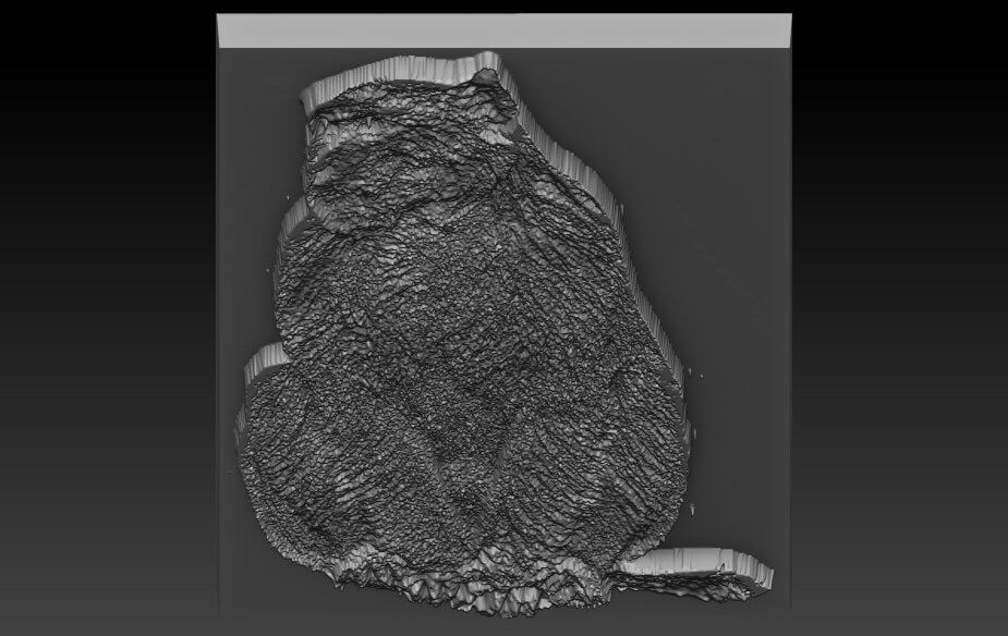 Monkey Relief - 3D Model by elitemodelry