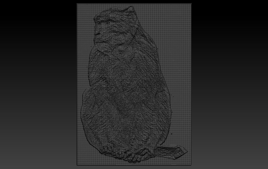 Monkey Relief - 3D Model by elitemodelry