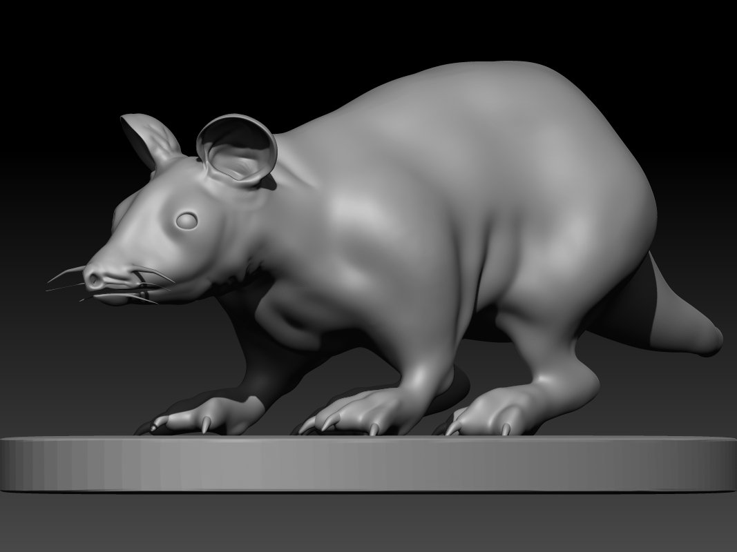 Mouse - 3D Model by elitemodelry