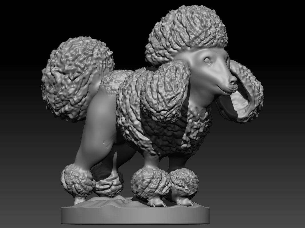 Poodle - 3D Model by elitemodelry