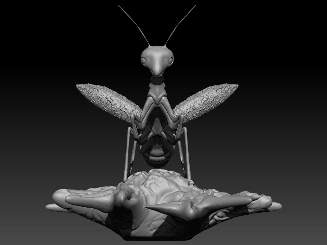 Praying Mantis - 3D Model by elitemodelry