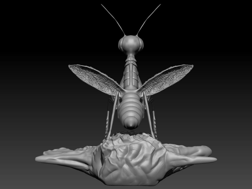 Praying Mantis - 3D Model by elitemodelry