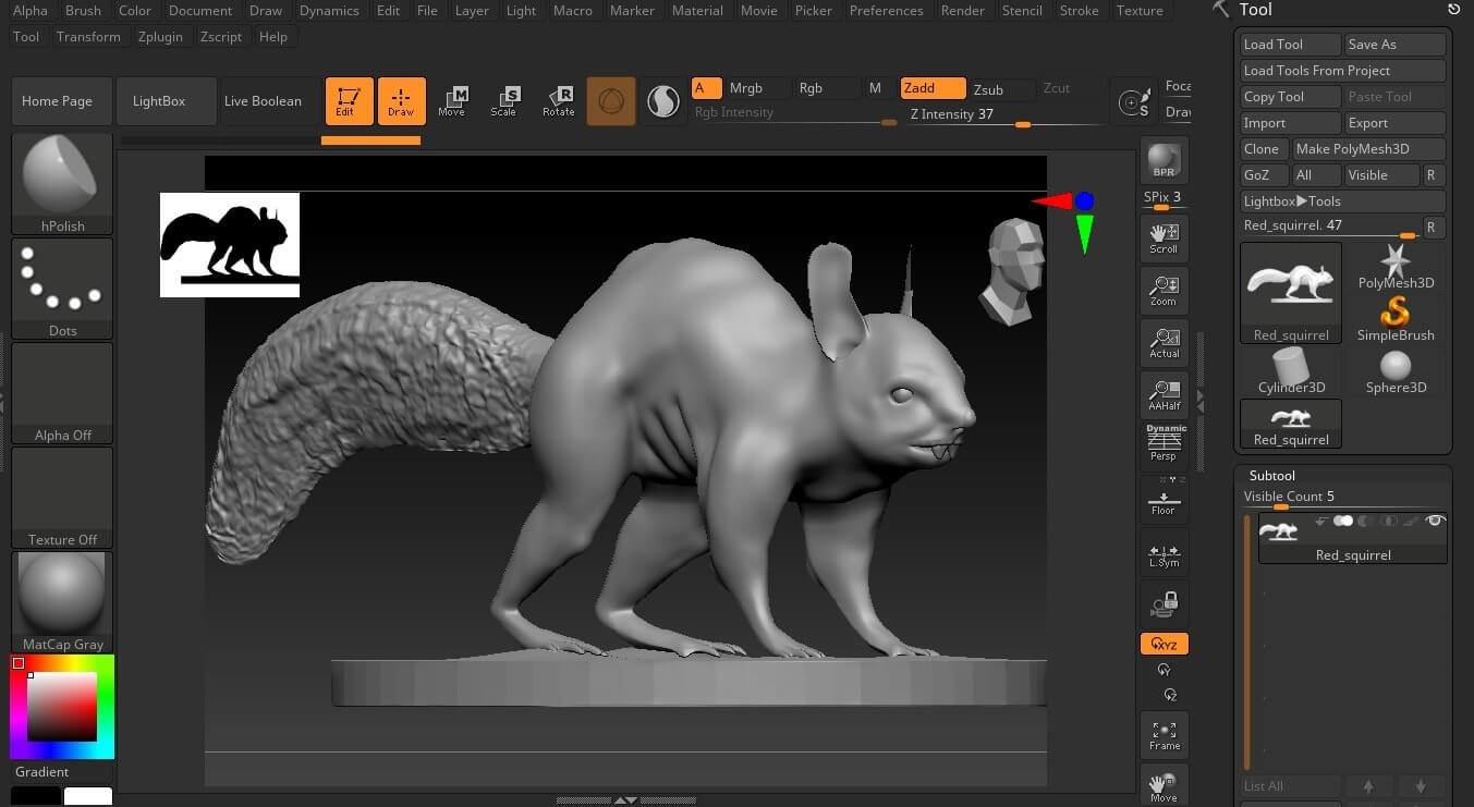Red Squirrel - 3D Model by elitemodelry