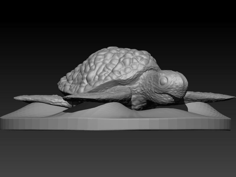 Sea Turtle - 3D Model by elitemodelry