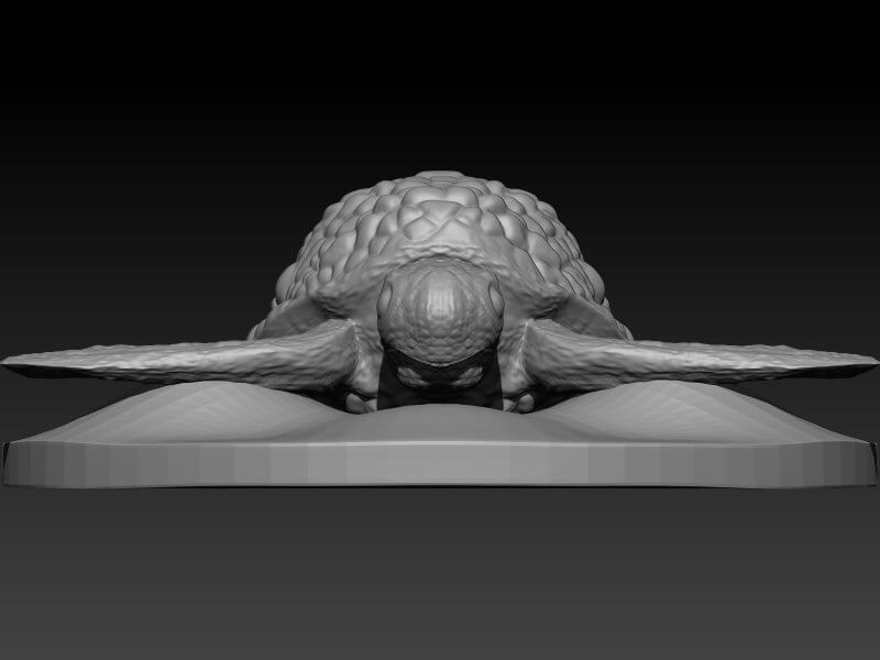 Sea Turtle - 3D Model by elitemodelry