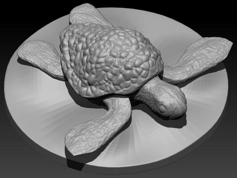 Sea Turtle - 3D Model by elitemodelry