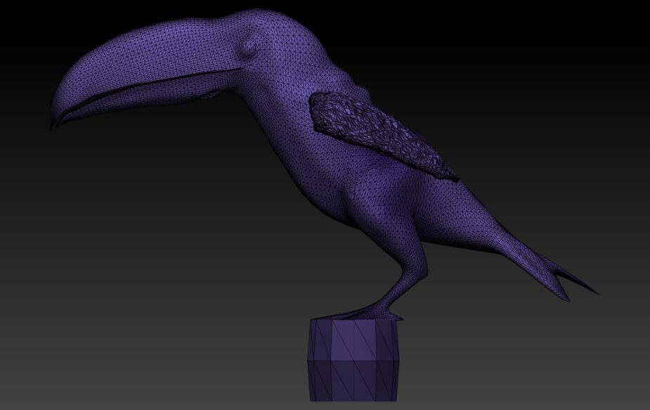 Toco Tolucan - 3D Model by elitemodelry