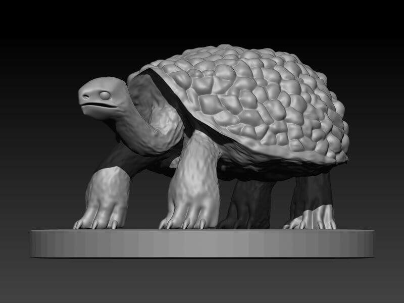 Tortoise - 3D Model by elitemodelry