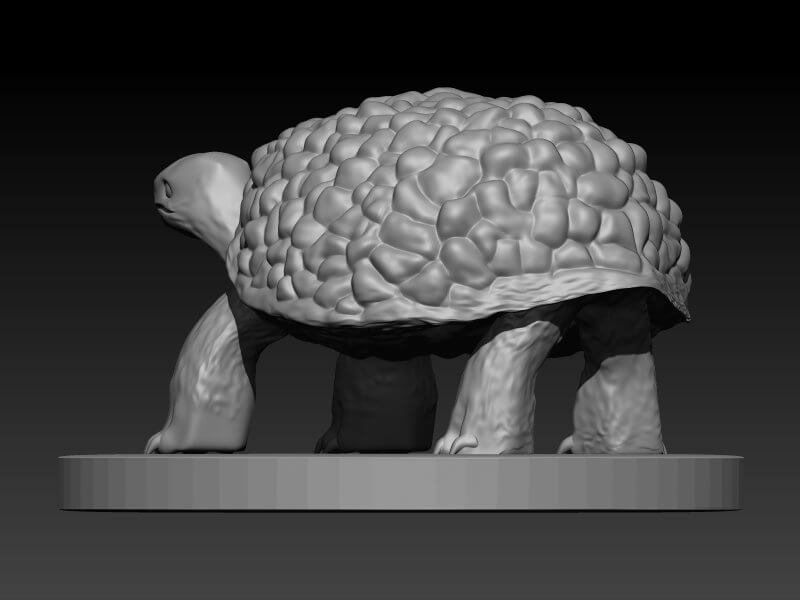 Tortoise - 3D Model by elitemodelry