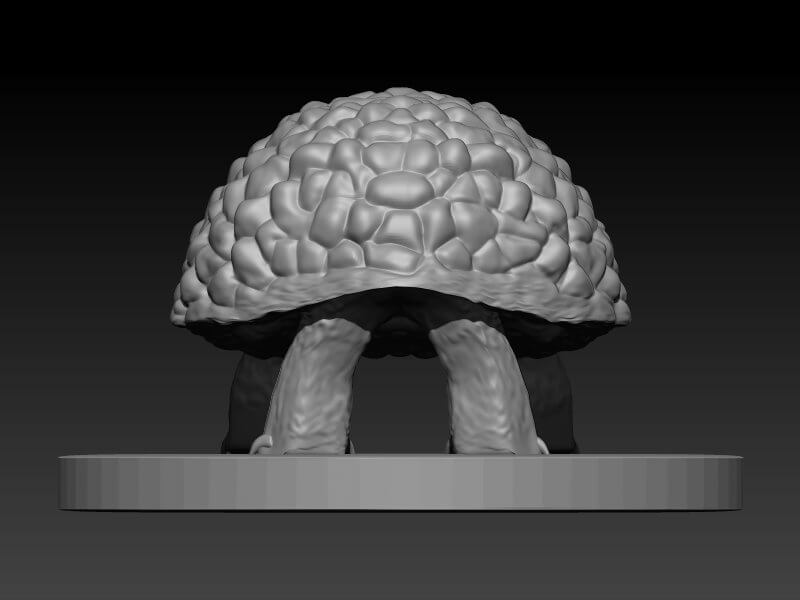 Tortoise - 3D Model by elitemodelry