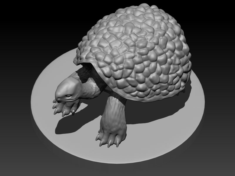 Tortoise - 3D Model by elitemodelry