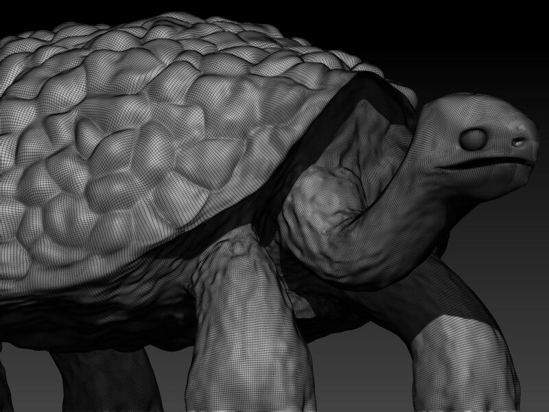Tortoise - 3D Model by elitemodelry