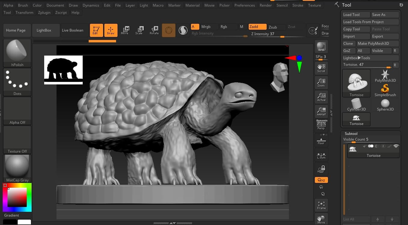 Tortoise - 3D Model by elitemodelry