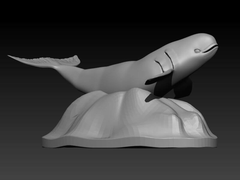 Whale - 3D Model by elitemodelry
