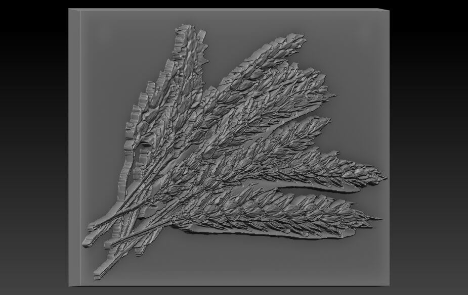 Wheat Relief - 3D Model by elitemodelry