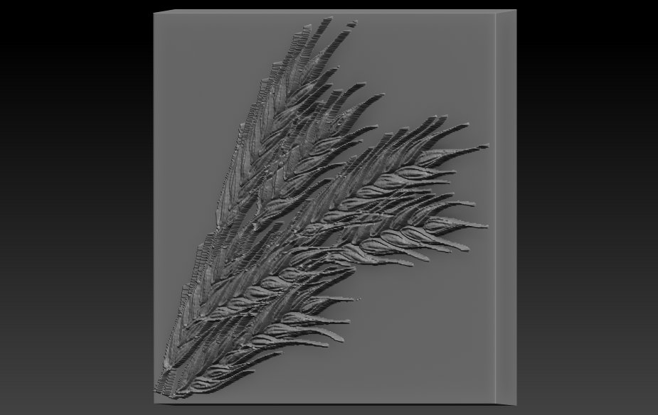 Wheat Relief - 3D Model by elitemodelry