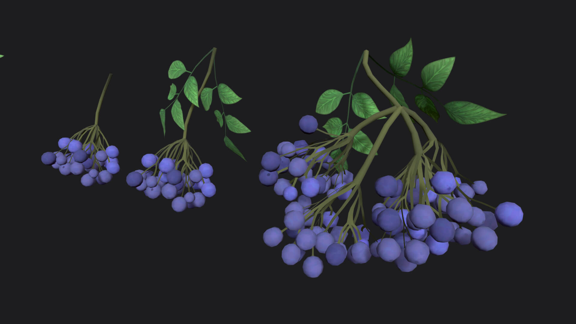 Elderberry Sprig Stylized Plant - 3D Model by Enkarra