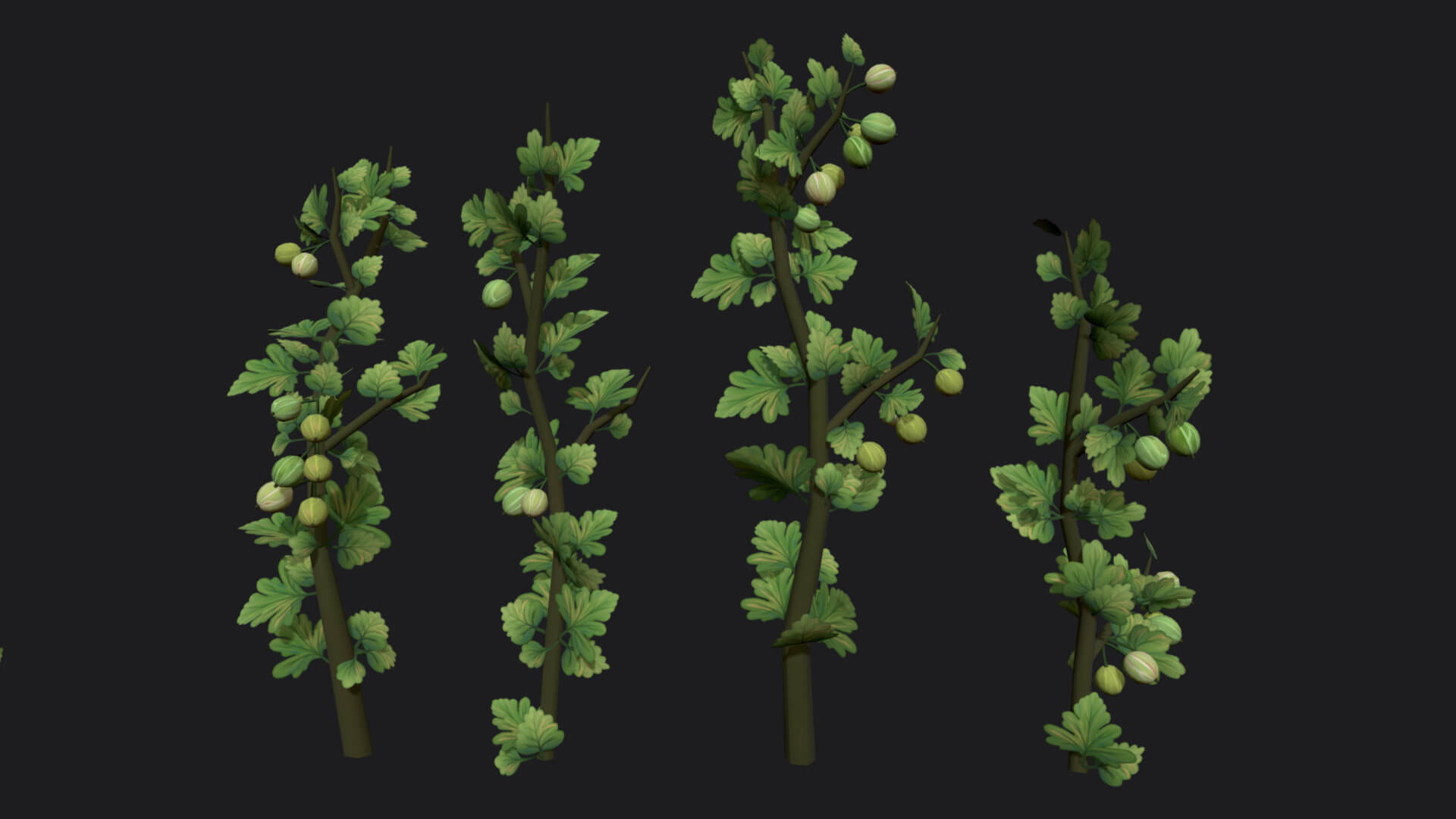 Gooseberry Sprig Stylized Plant - 3D Model by Enkarra