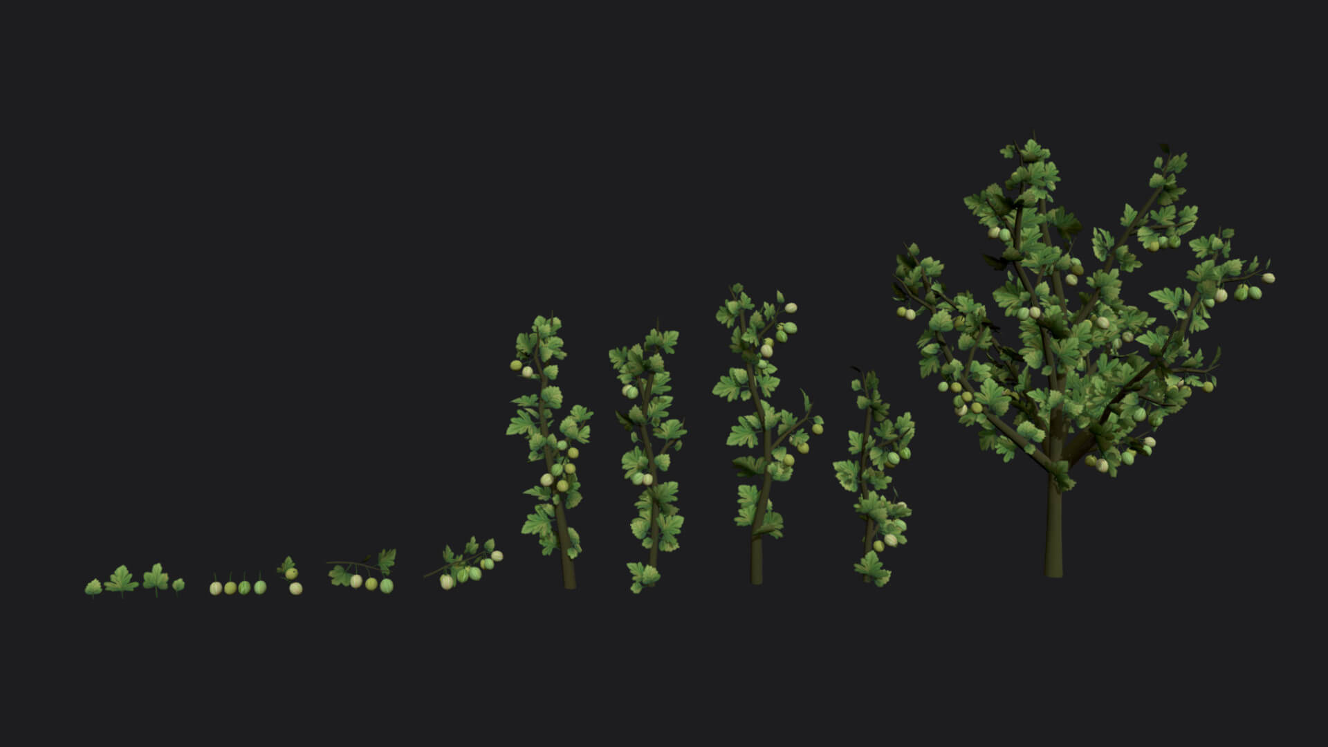 Gooseberry Sprig Stylized Plant - 3D Model by Enkarra
