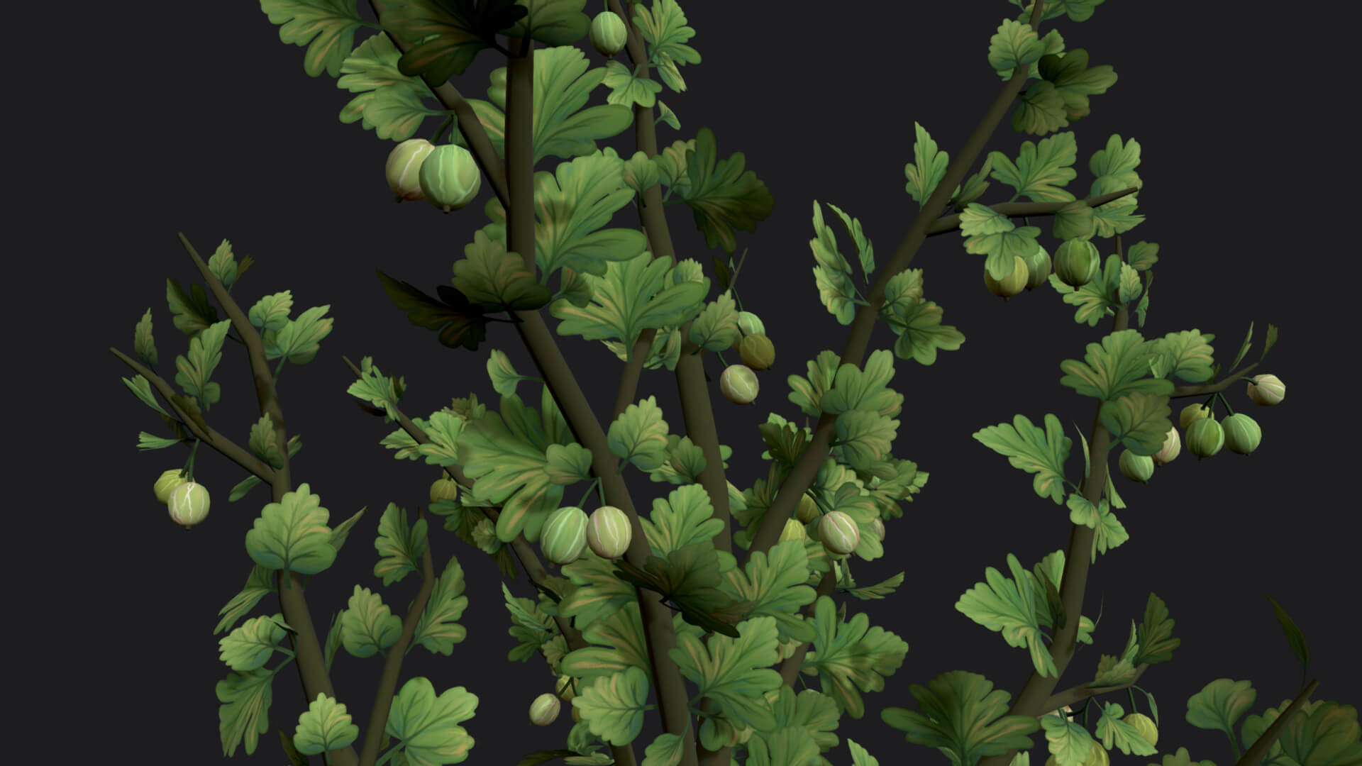 Gooseberry Sprig Stylized Plant - 3D Model by Enkarra