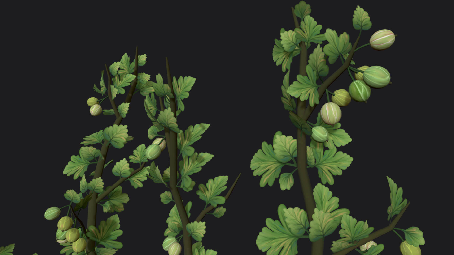 Gooseberry Sprig Stylized Plant - 3D Model by Enkarra